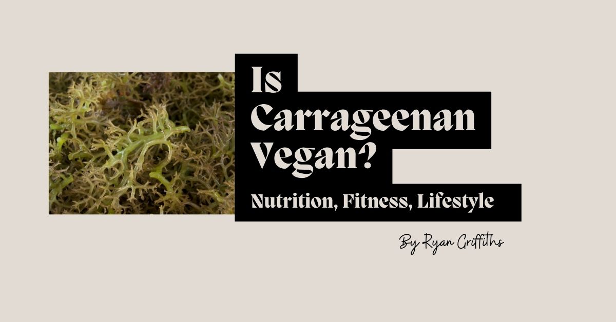 Is Carrageenan Vegan? red seaweed thickener debate is over 2025 - Vegan ...